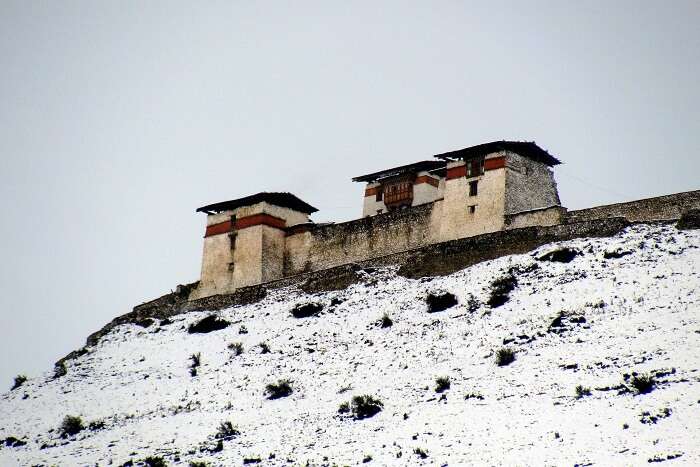 Jigme Dorji National Park: A Guide To Bhutan’s Hidden Gem