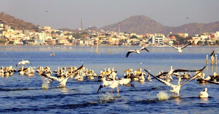 7 Places to Visit in Kishangarh For An Exciting 2023 Getaway!