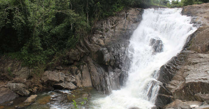 Top 28 Amazing Places To Visit In Kalpetta For A Blissful Trip In 2023