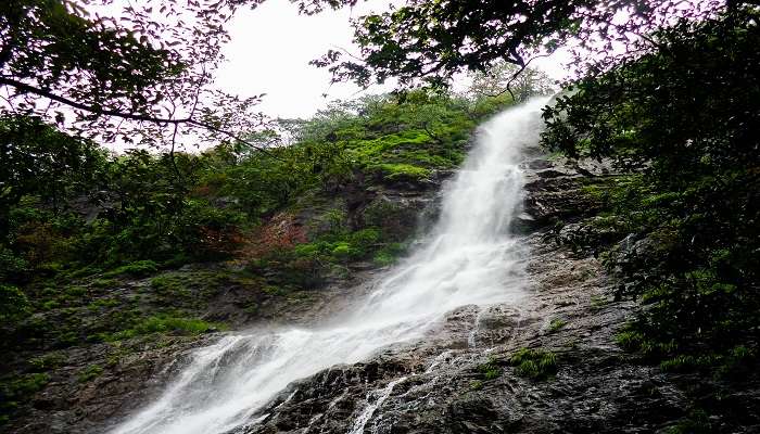 19 Waterfalls In Goa To Visit (Updated 2025)