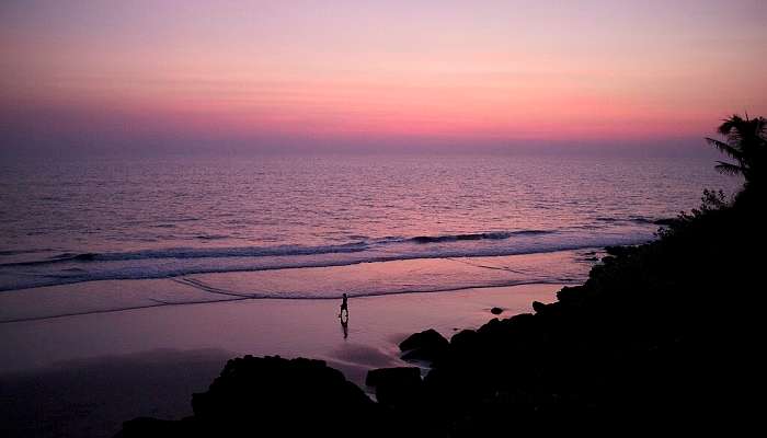 Discover the Places to Visit in Kerala during Monsoon: Experience the ...