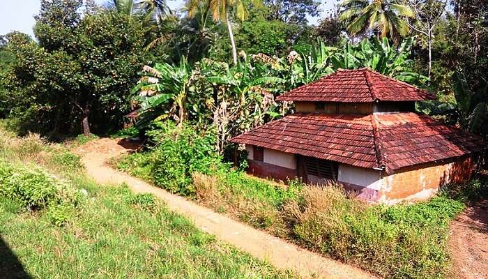 Top Hotels in Shoranur – Comfort, Culture & Local Experiences